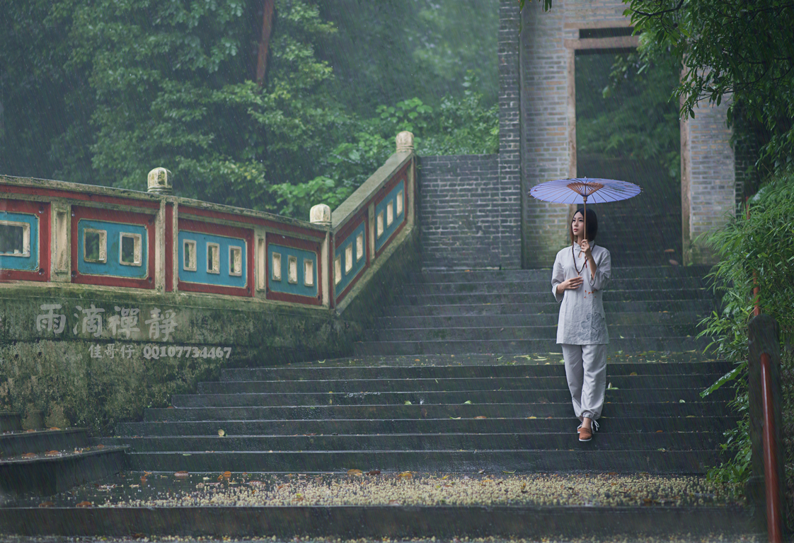 雨滴禅静 中关村在线摄影论坛