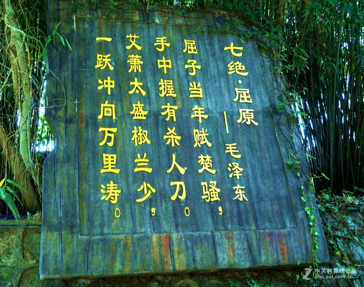 名人咏兰 中关村在线摄影论坛