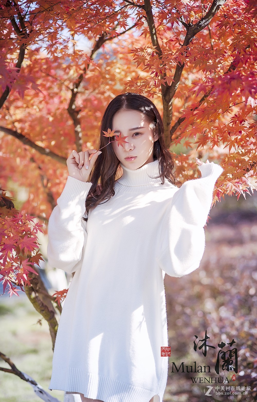 少女之枫中的承诺18P高清 中关村在线摄影论坛