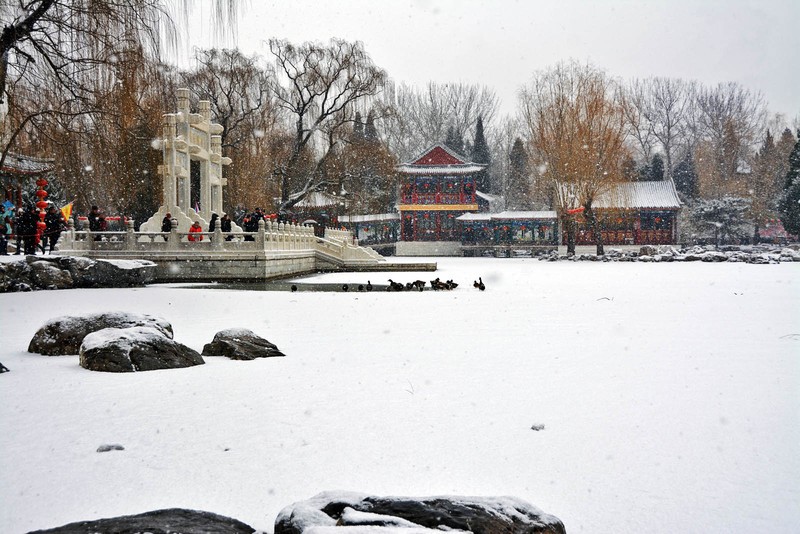 雪中大观园 中关村在线摄影论坛
