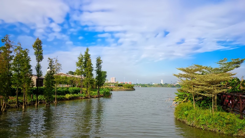 晨运随拍海珠湖 2 手机版 第2页 中关村在线摄影论坛