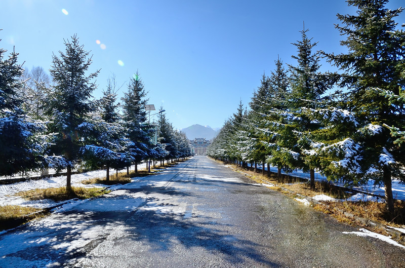 一组雪景大雪压青松 第35页 中关村在线摄影论坛