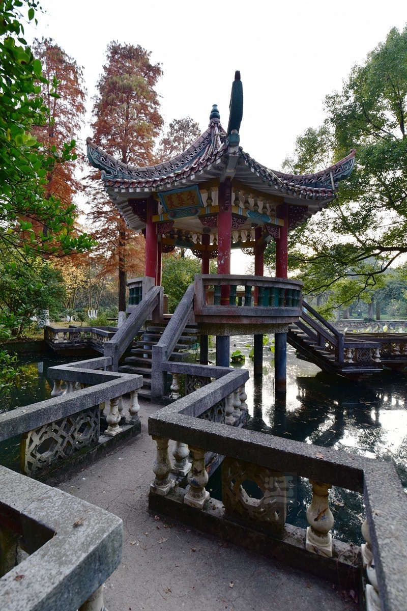 深秋漫步3 武汉植物园 中关村在线摄影论坛