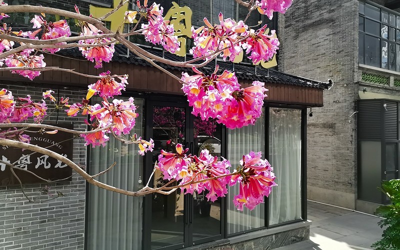 23076 随拍猎人坊完 第6页 中关村在线摄影论坛