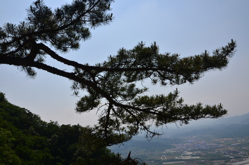 辽宁凤凰山游记13 第2页 中关村在线摄影论坛