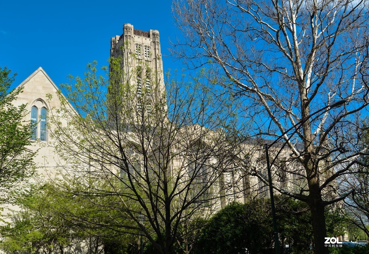 芝加哥大学-中关村在线摄影论坛
