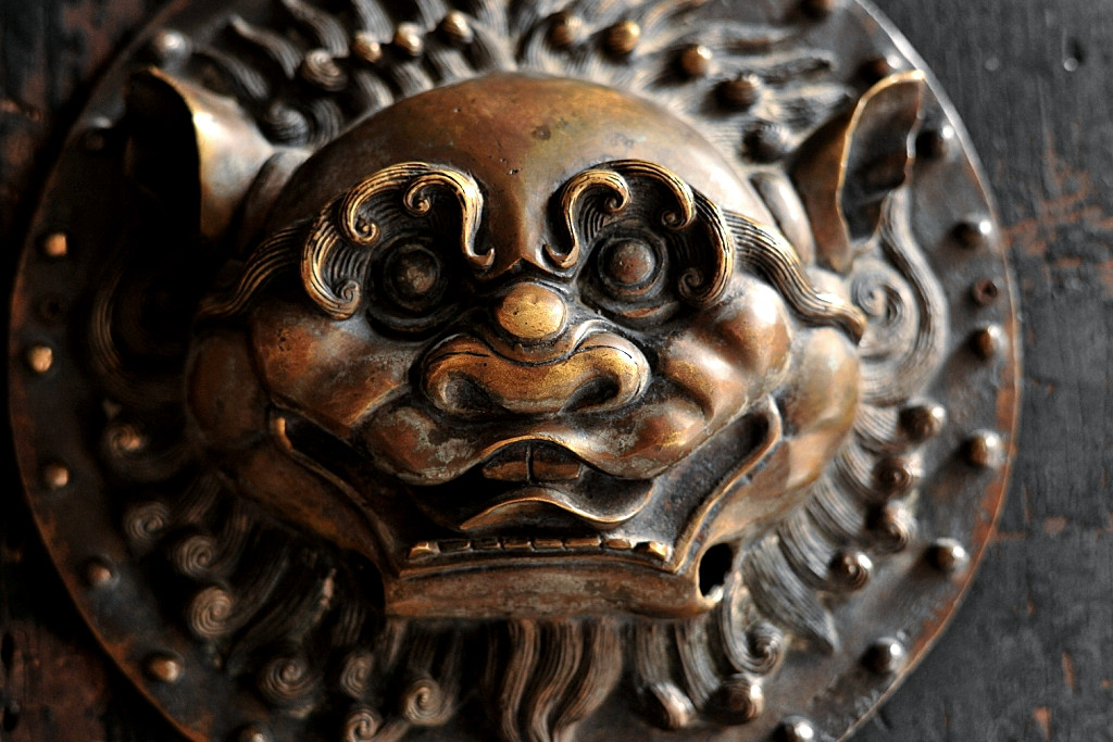 【尼康58-1,4G镜头随拍】-中关村在线摄影论坛