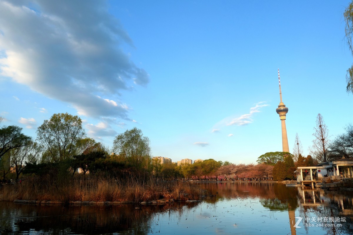 早春玉渊潭公园-中关村在线摄影论坛