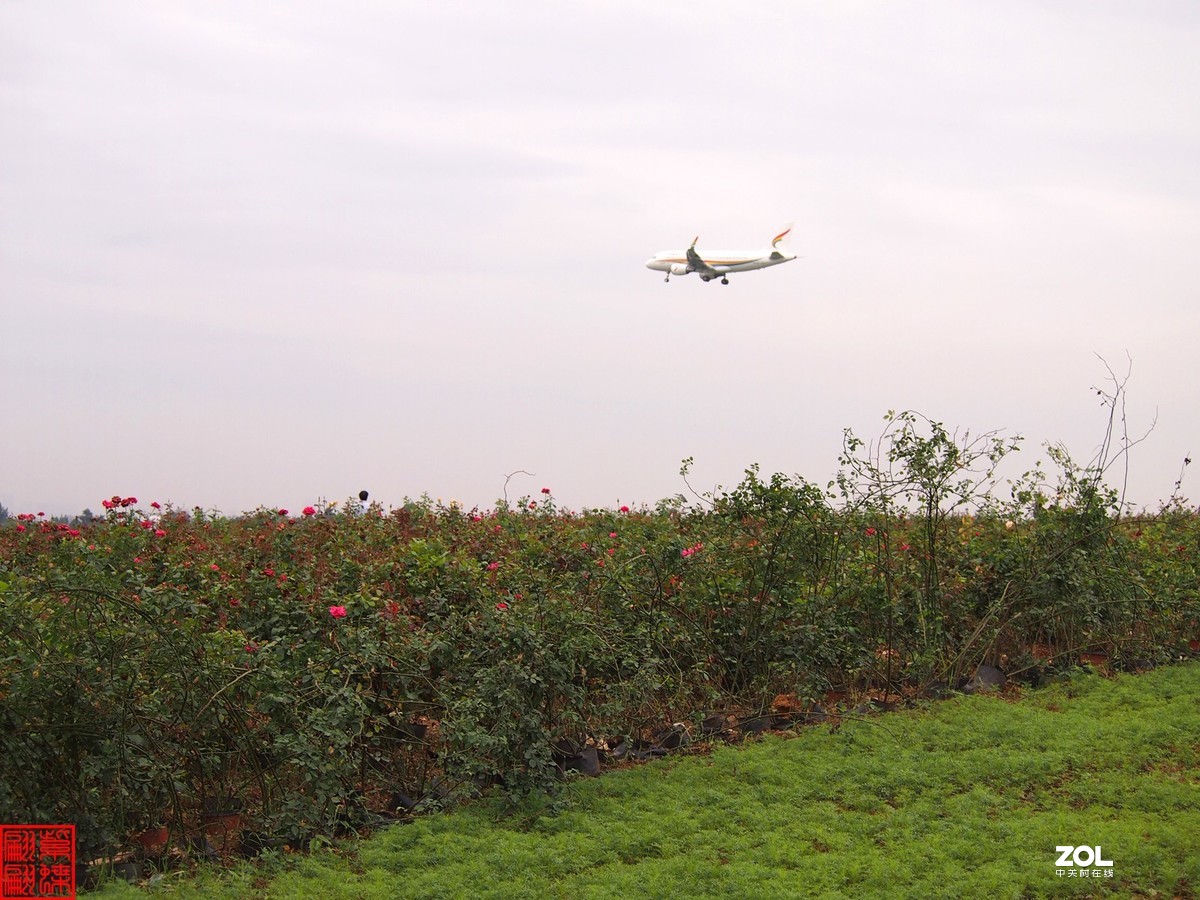 网红打卡地看飞机（1）-中关村在线摄影论坛