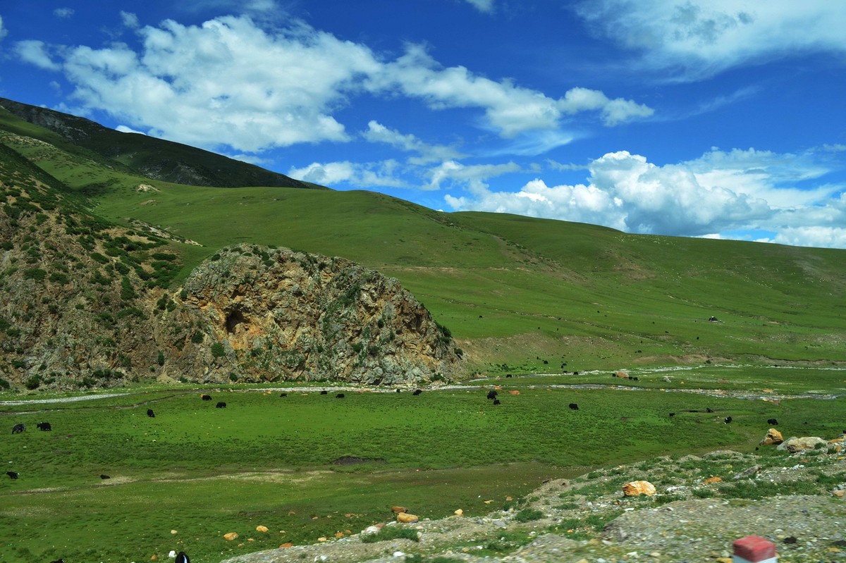 美丽的西藏（一）-中关村在线摄影论坛