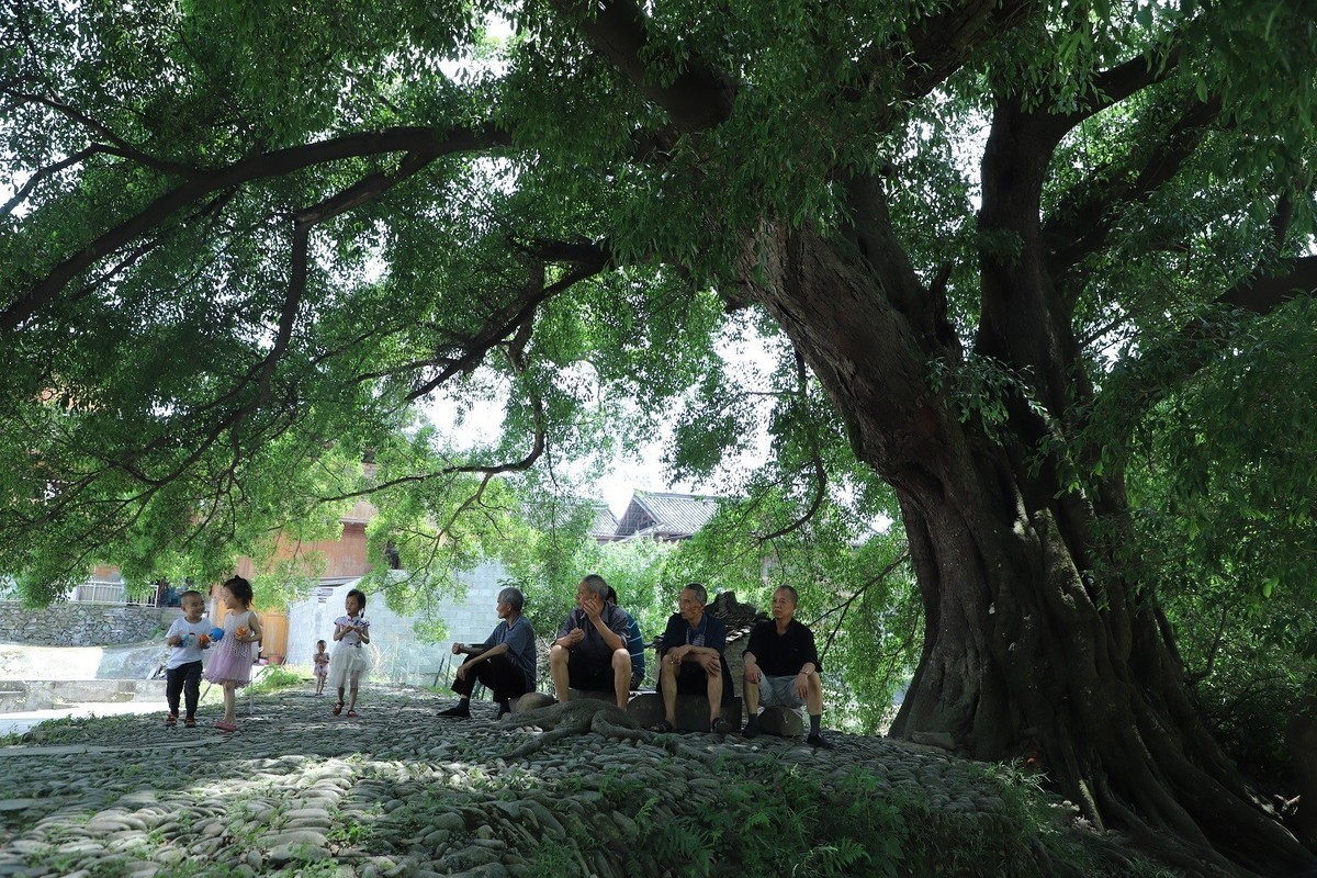 大树底下好乘凉-中关村在线摄影论坛
