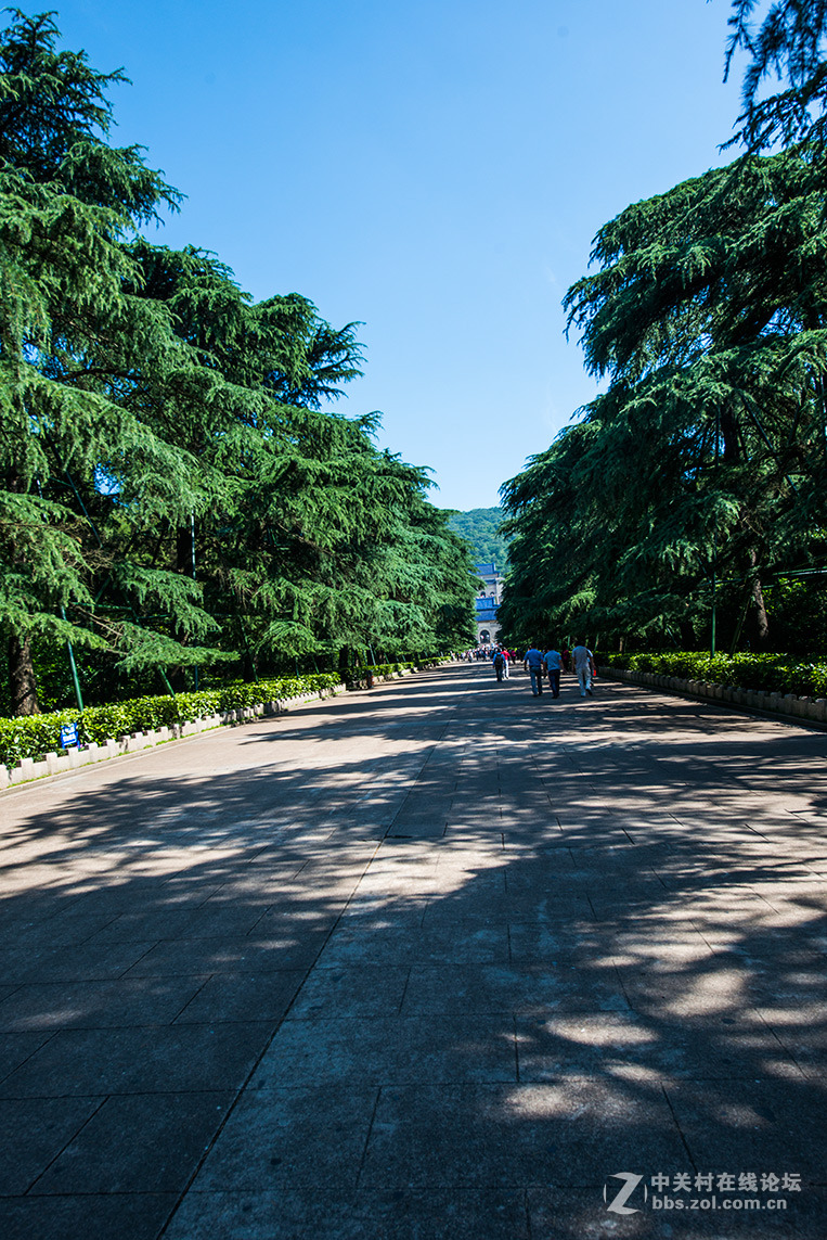 再拍金陵四十八景---1、中山陵2015.6.4.-中关村在线摄影论坛