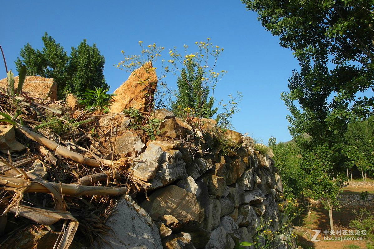 『乡土晨光』123...11P-中关村在线摄影论坛