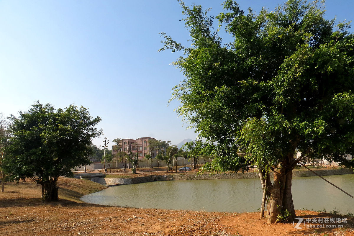 冼太广场随拍-中关村在线摄影论坛