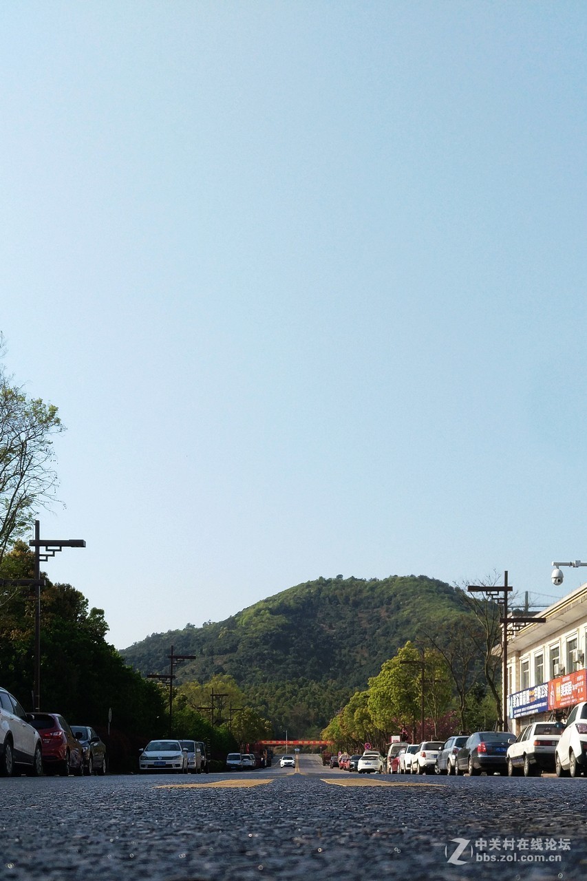 手机的低机位拍摄-中关村在线摄影论坛