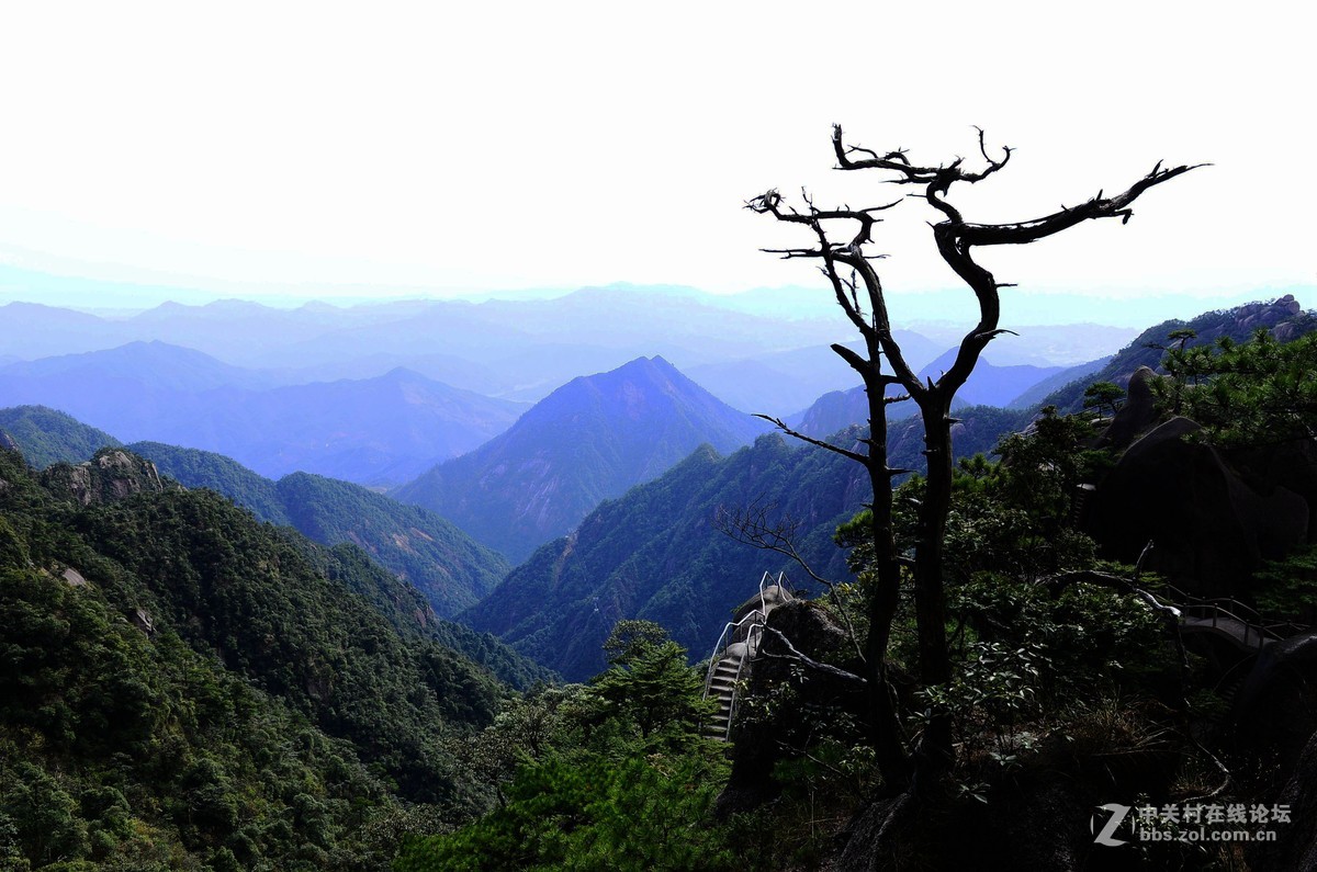 三青山-中关村在线摄影论坛