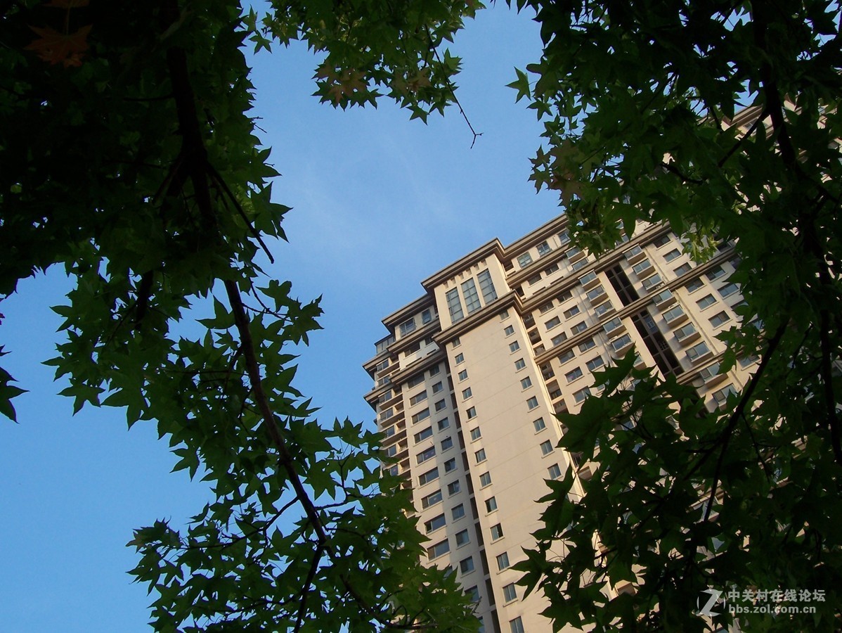 『C663傍晚时分』123...12P-中关村在线摄影论坛