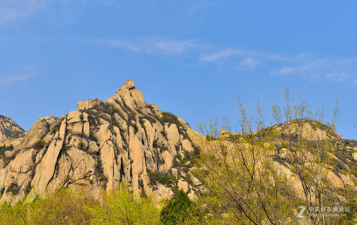 清明踏青凤凰岭-中关村在线摄影论坛