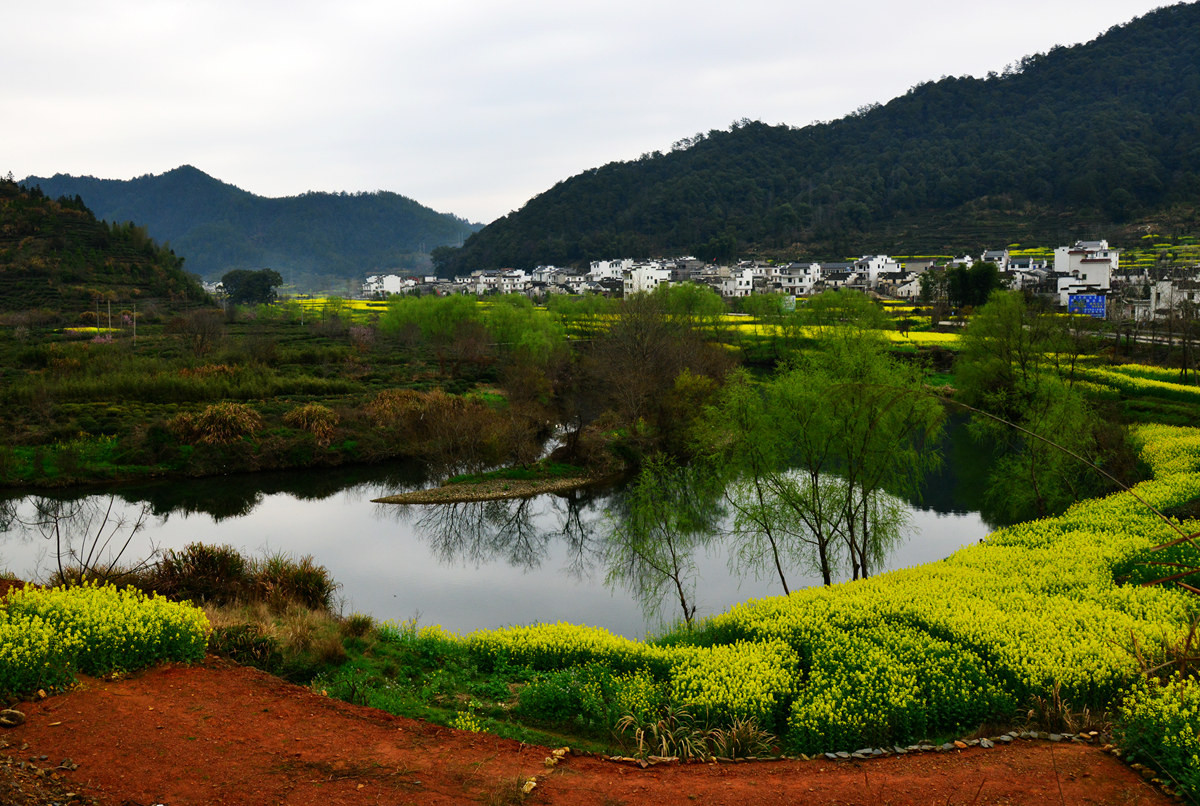 销假帖————【醉美婺源】-中关村在线摄影论坛