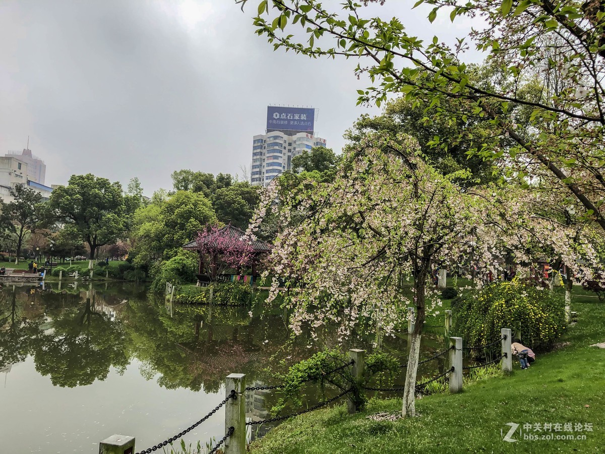 公园小景-中关村在线摄影论坛