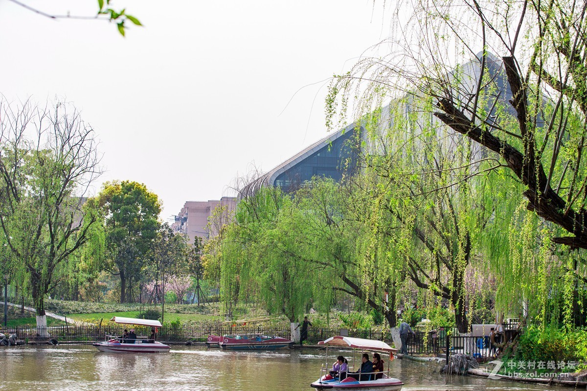 公园随拍-中关村在线摄影论坛