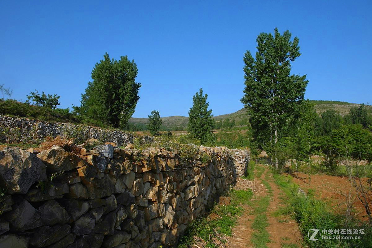 『乡土晨光续』123...13P-中关村在线摄影论坛