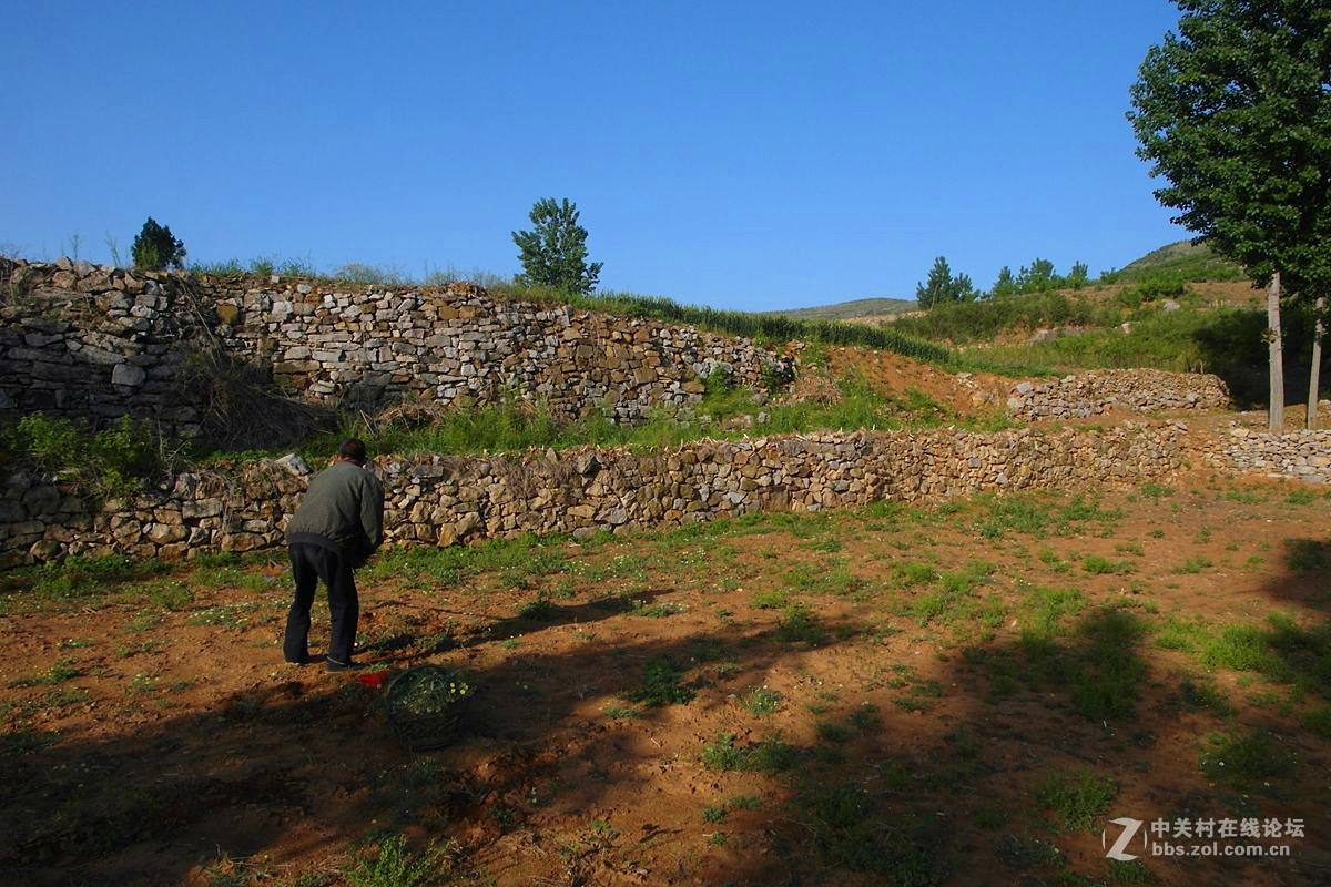 『乡土晨光续』123...13P-中关村在线摄影论坛