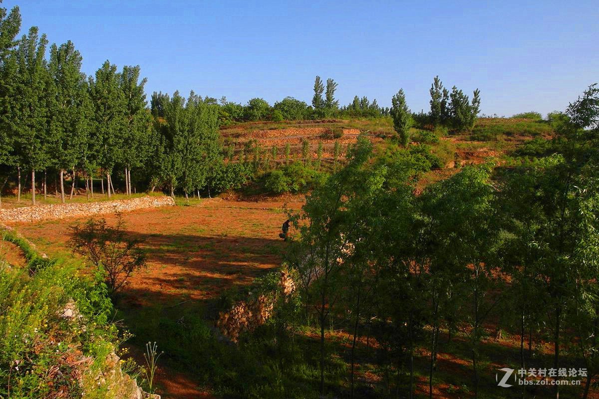 『乡土晨光续』123...13P-中关村在线摄影论坛