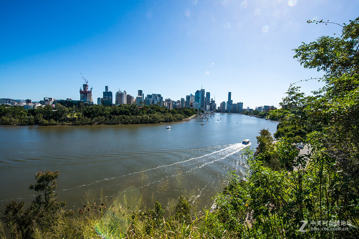 布里斯班之袋鼠角2015.5.12.-中关村在线摄影论坛