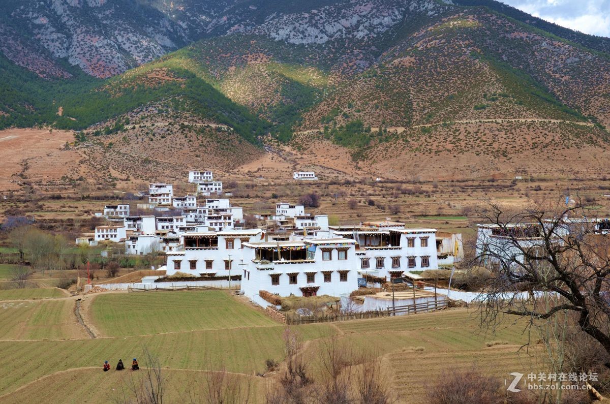 3月的香格里拉-中关村在线摄影论坛