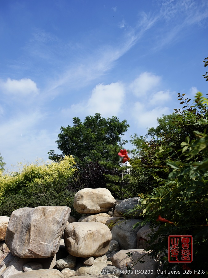 ILCE-7转接Contax Car ziss D25\F2.8 小景随拍-中关村在线摄影论坛