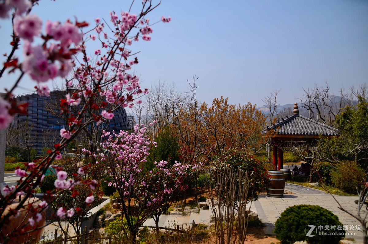 青岛世博园风光1-中关村在线摄影论坛