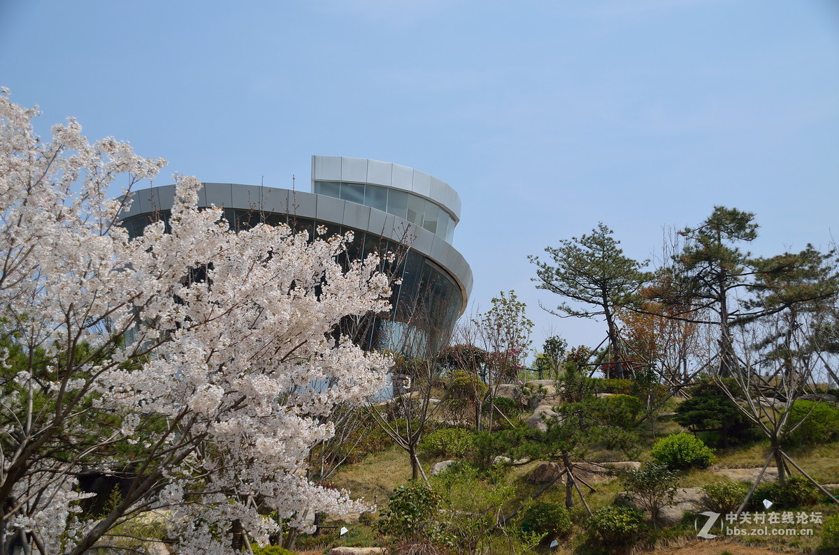 青岛世博园风光1-中关村在线摄影论坛