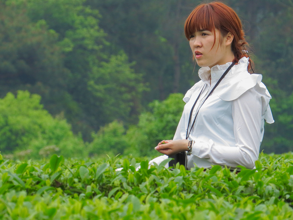 茶园里的MM-中关村在线摄影论坛