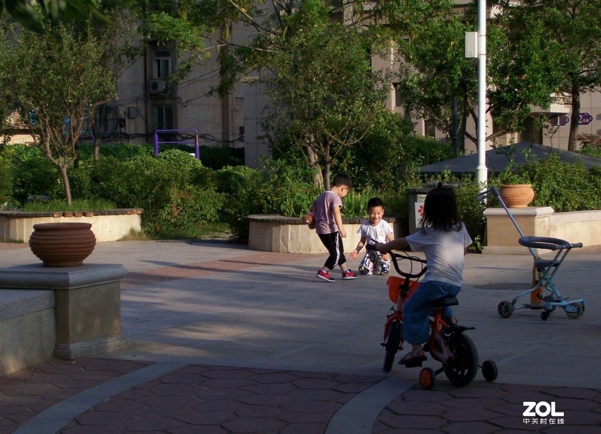 『C663的速写』123...12P-中关村在线摄影论坛