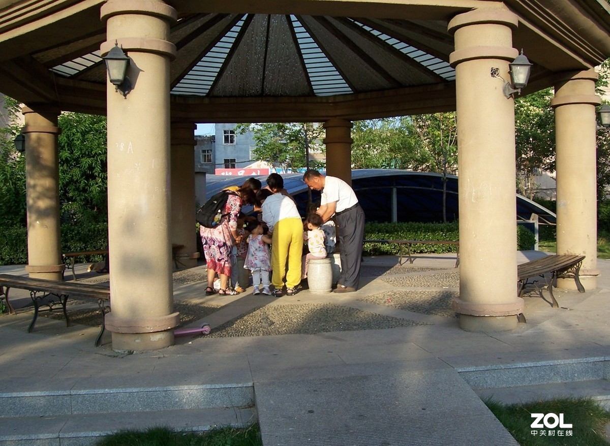 『C663的速写』123...12P-中关村在线摄影论坛