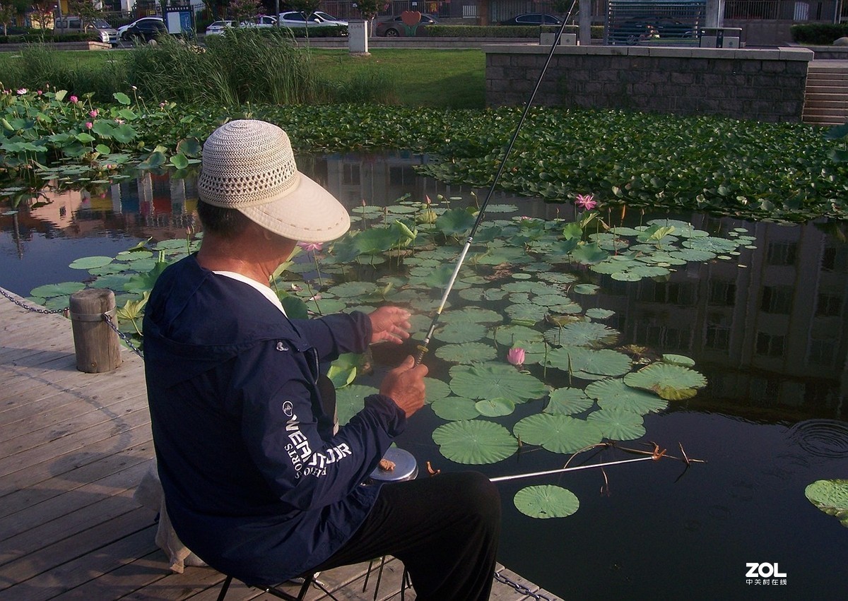 『C663盛夏的早晨』123...15P-中关村在线摄影论坛