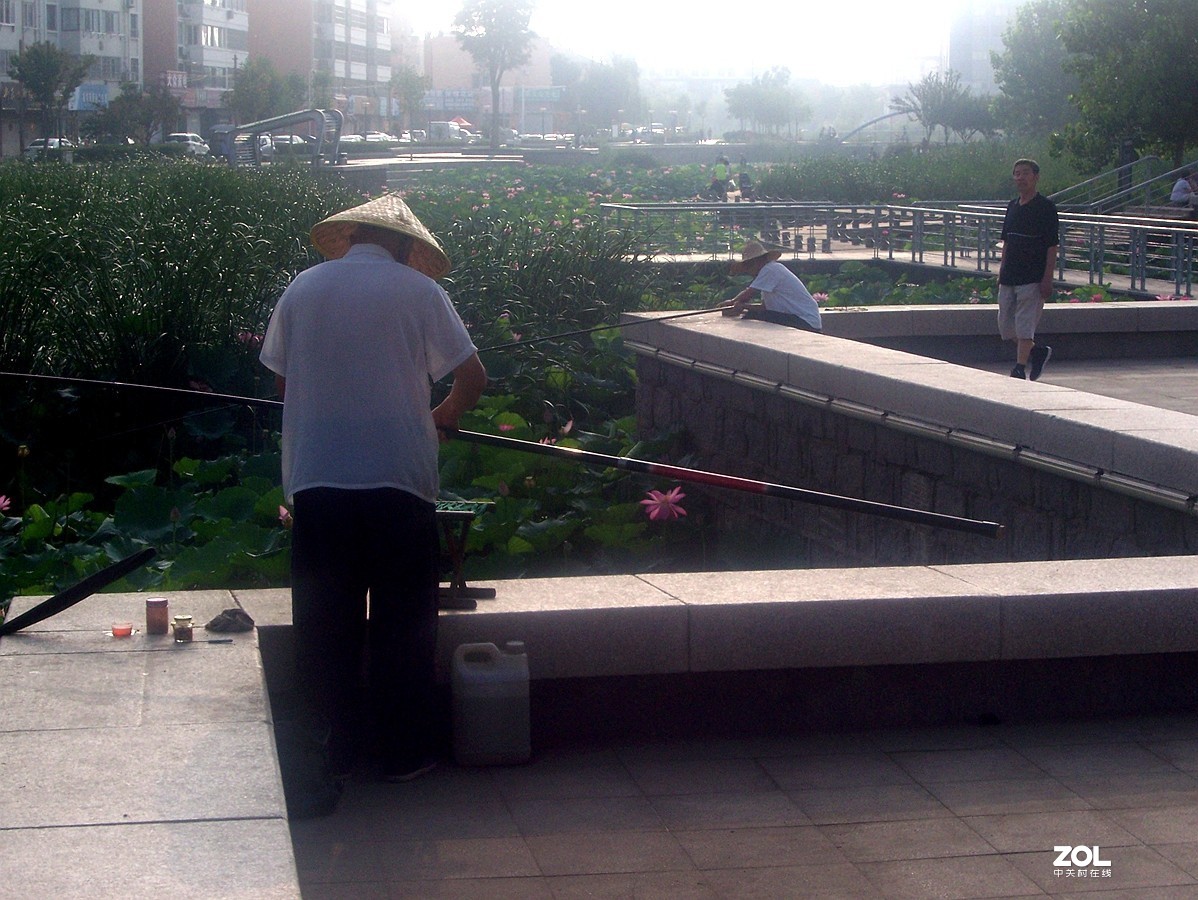 『C663盛夏的早晨』123...15P-中关村在线摄影论坛