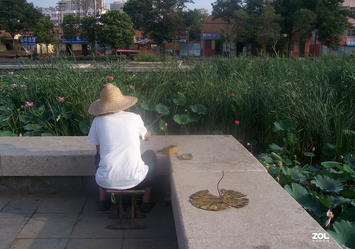 『C663盛夏的早晨』123...15P-中关村在线摄影论坛