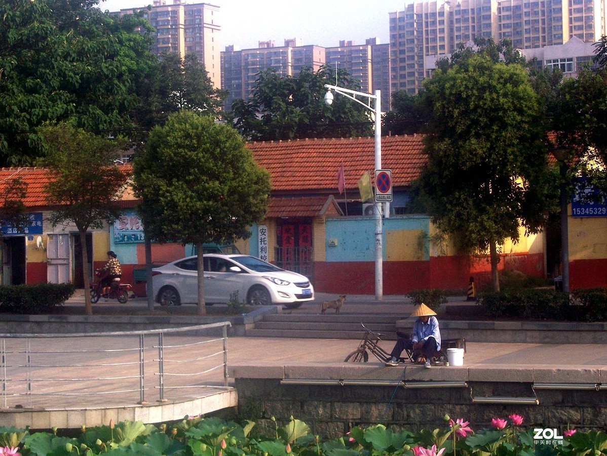 『C663盛夏的早晨』123...15P-中关村在线摄影论坛