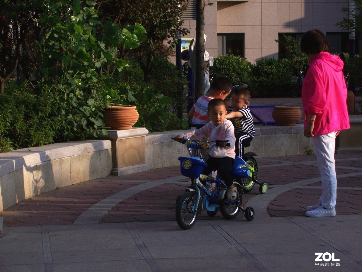 『C663的速写』123...12P-中关村在线摄影论坛