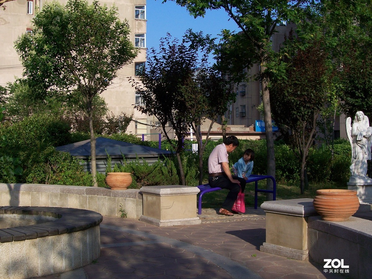 『C663的速写』123...12P-中关村在线摄影论坛