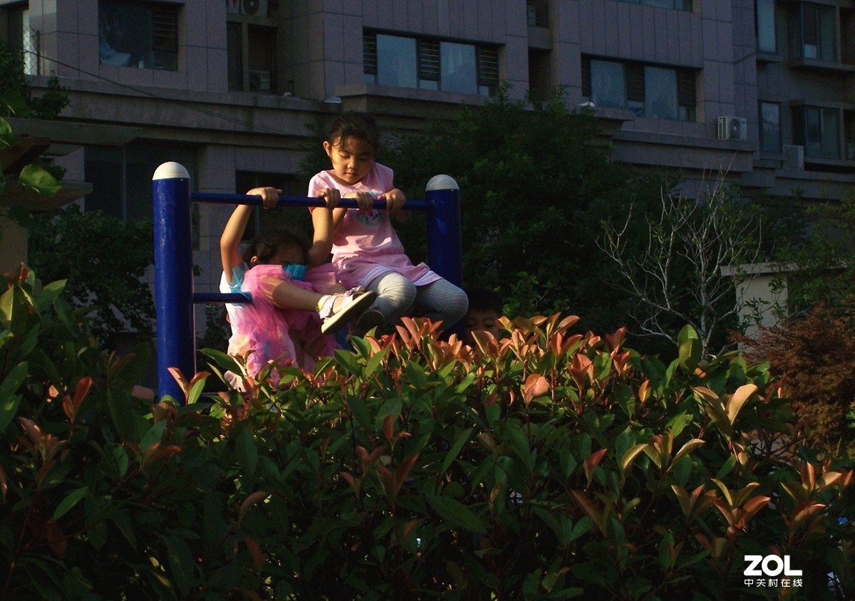 『C663的速写』123...12P-中关村在线摄影论坛