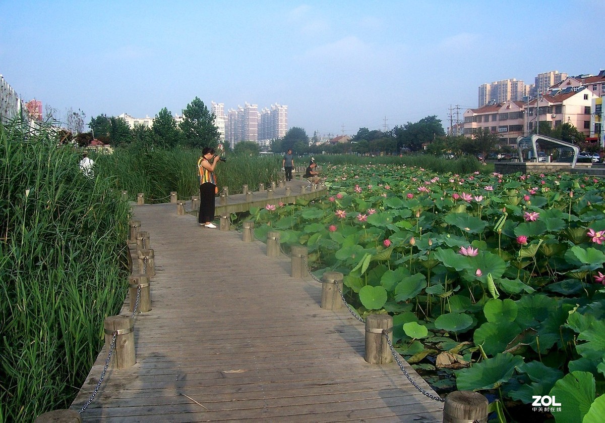 『C663盛夏的早晨』123...15P-中关村在线摄影论坛