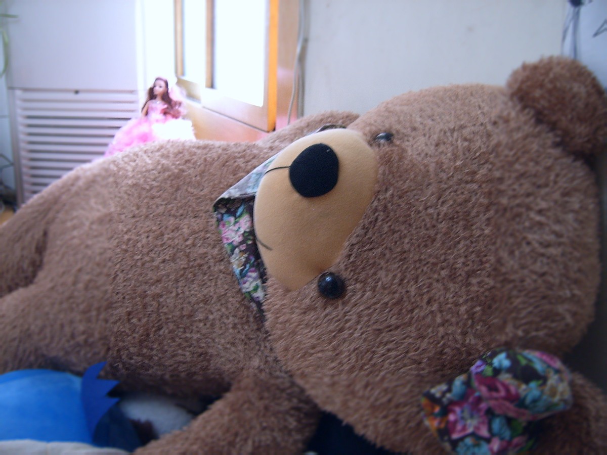 用 u-aca5 拍了些照片-中关村在线摄影论坛