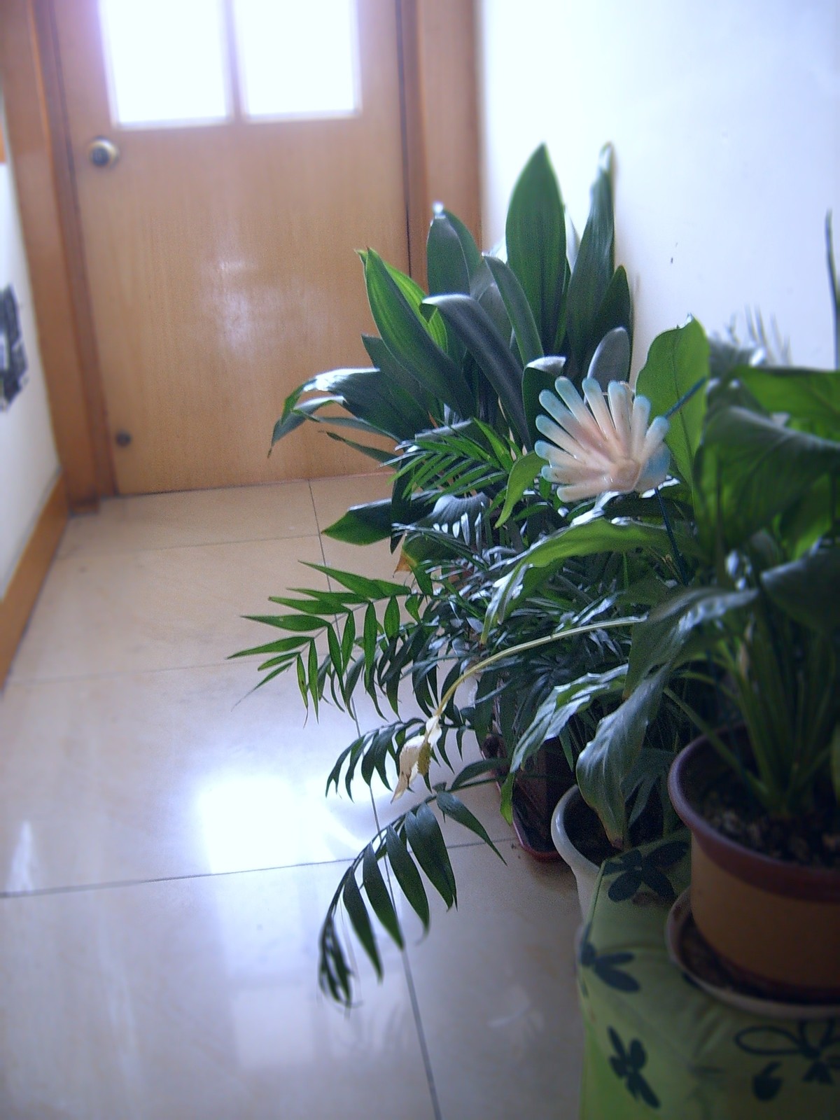 用 u-aca5 拍了些照片-中关村在线摄影论坛