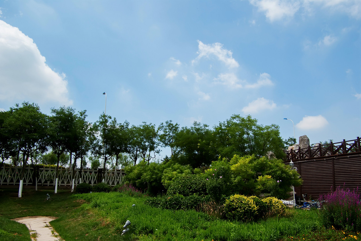 天津七里海湿地公园游记-中关村在线摄影论坛