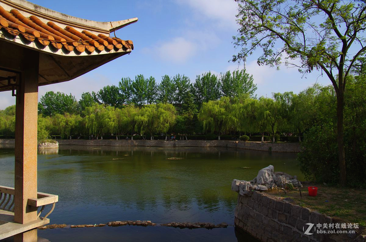 『老公园』123...12p-中关村在线摄影论坛