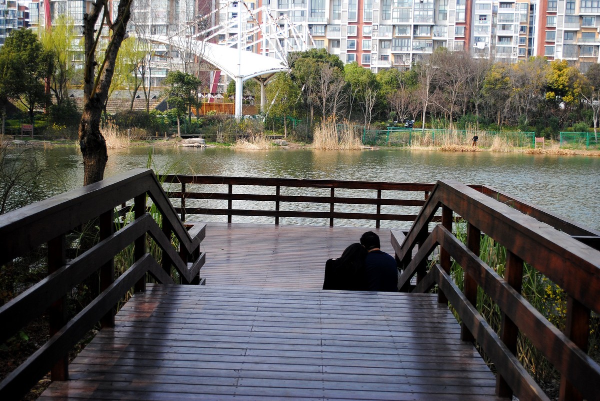 新江湾公园的春天-中关村在线摄影论坛