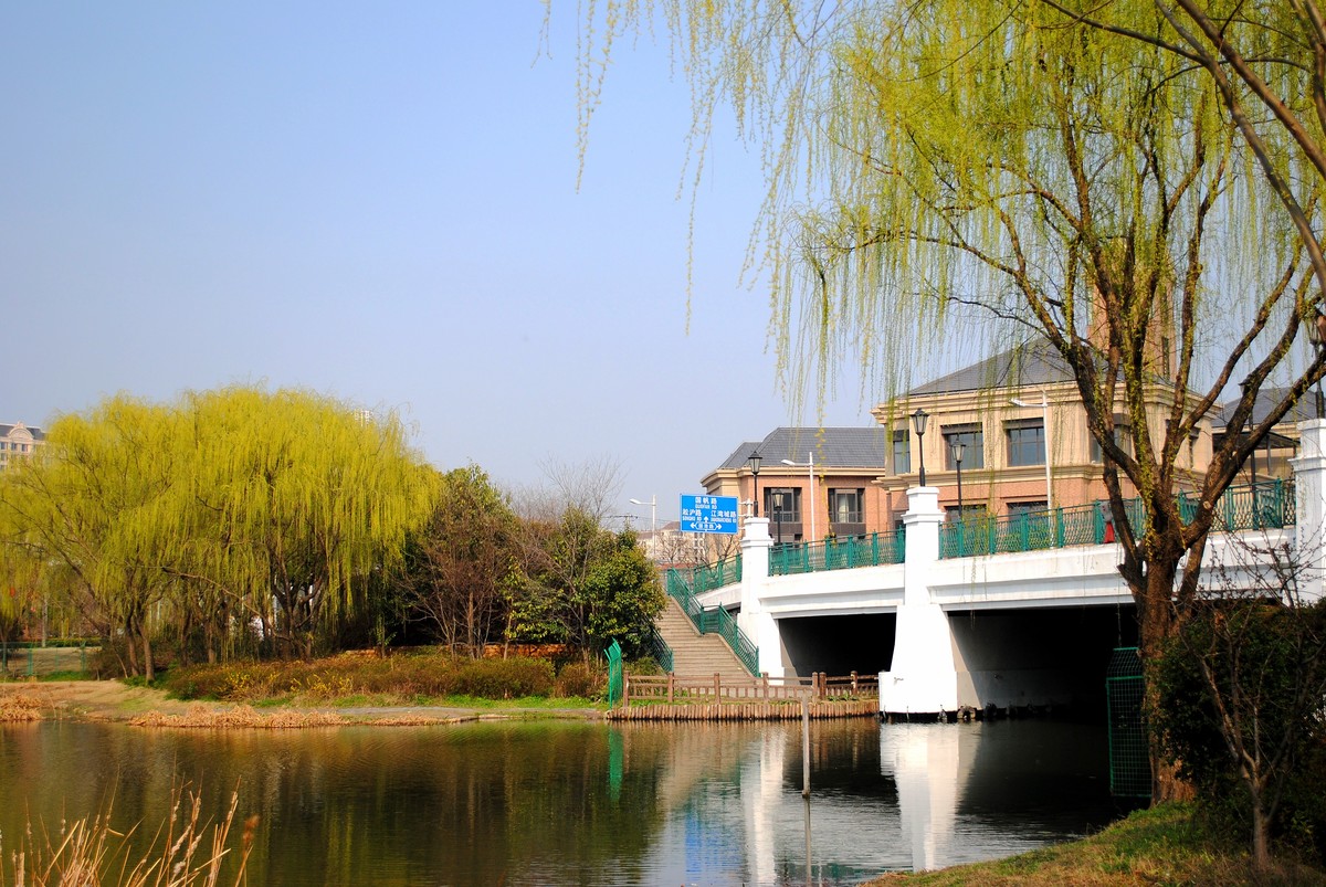 新江湾公园的春天-中关村在线摄影论坛